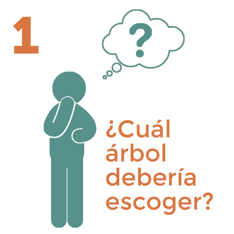 ¿Cómo sembrar un árbol? | Guía paso a paso