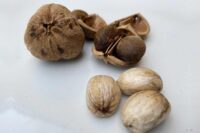 ¿Qué es el Cacay y para qué sirve? | Beneficios y usos