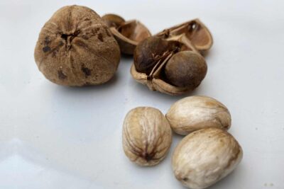 ¿Qué es el Cacay y para qué sirve? | Beneficios y usos